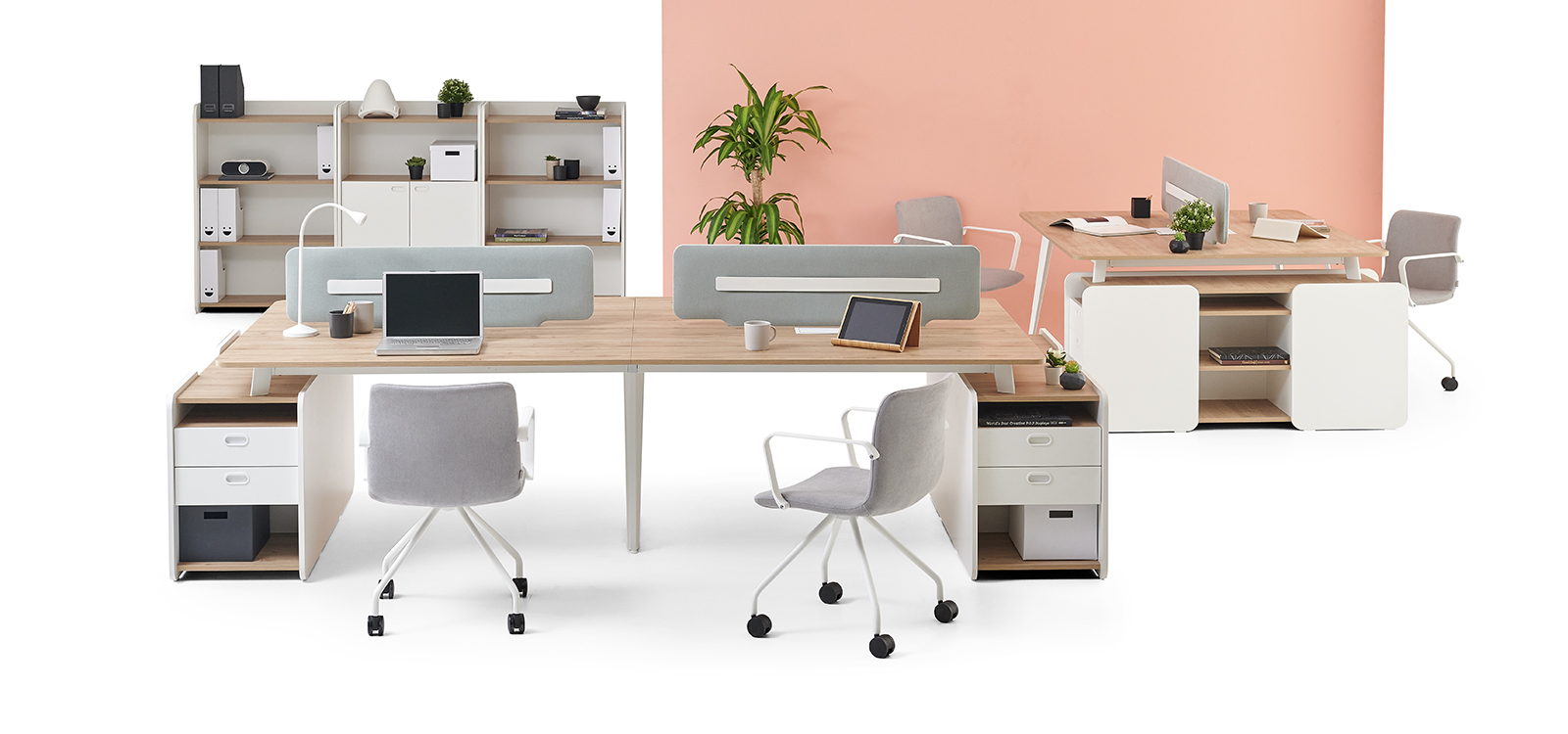 Mio Working Group | Zivella