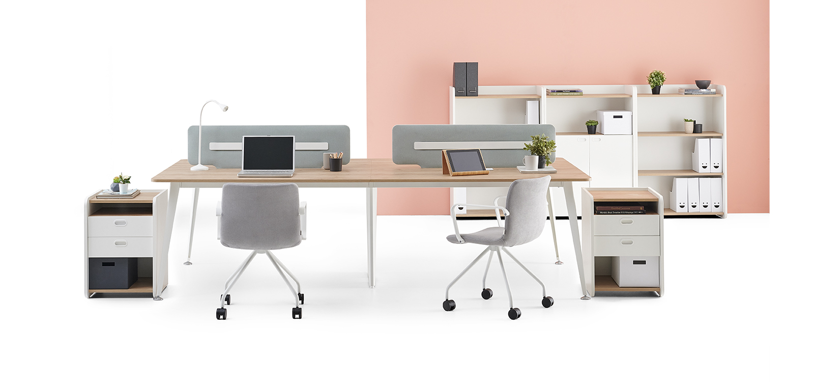 Mio Working Group | Zivella