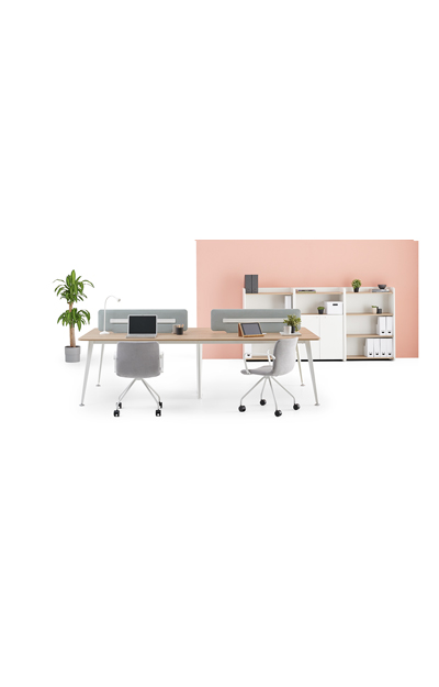 Mio Working Group | Zivella