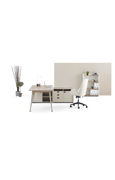 Mio Executive Desk | Zivella
